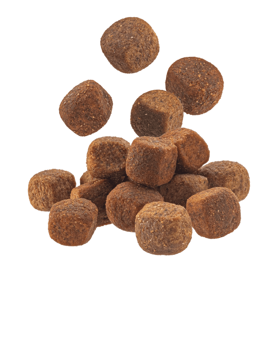 Buy Dog Food Online In Canada - Everyday Low Prices | PetMax.ca
