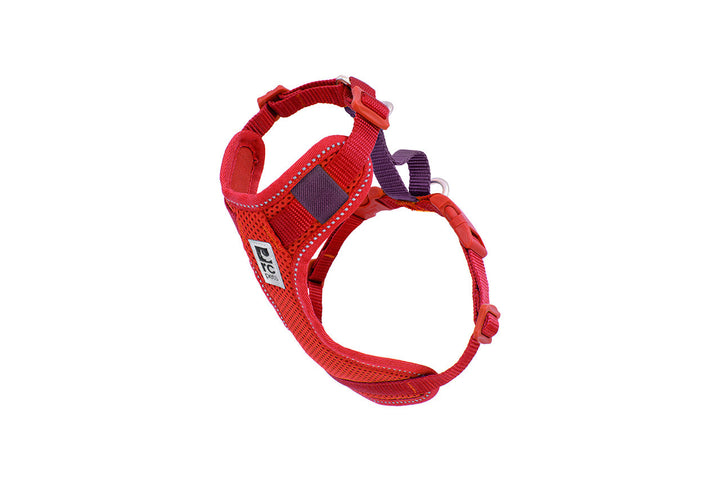Buy RC Pet Products Online In Canada | Everyday Low Prices – PetMax