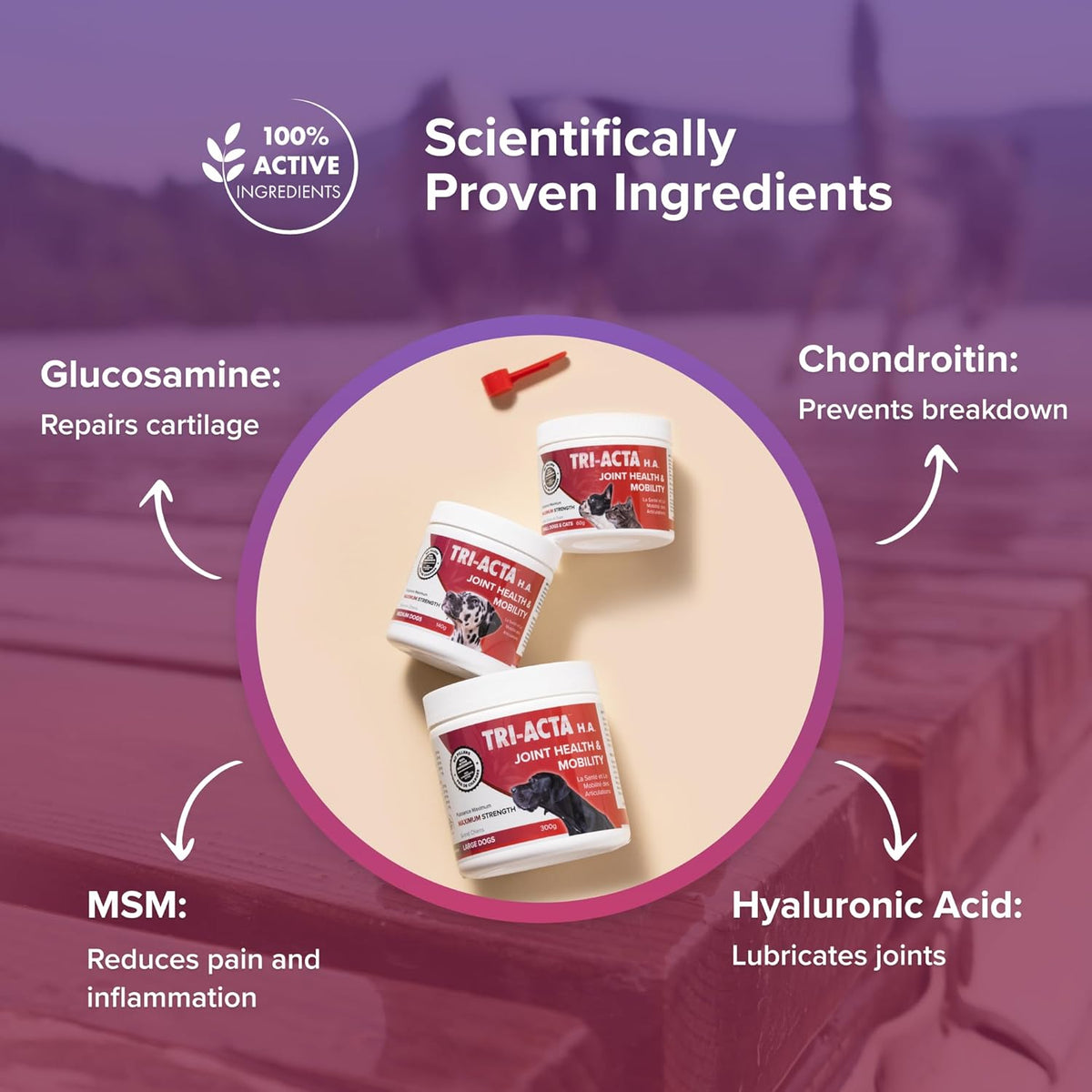 Tri-Acta Joint H.A. Maximum Strength Formula – PetMax