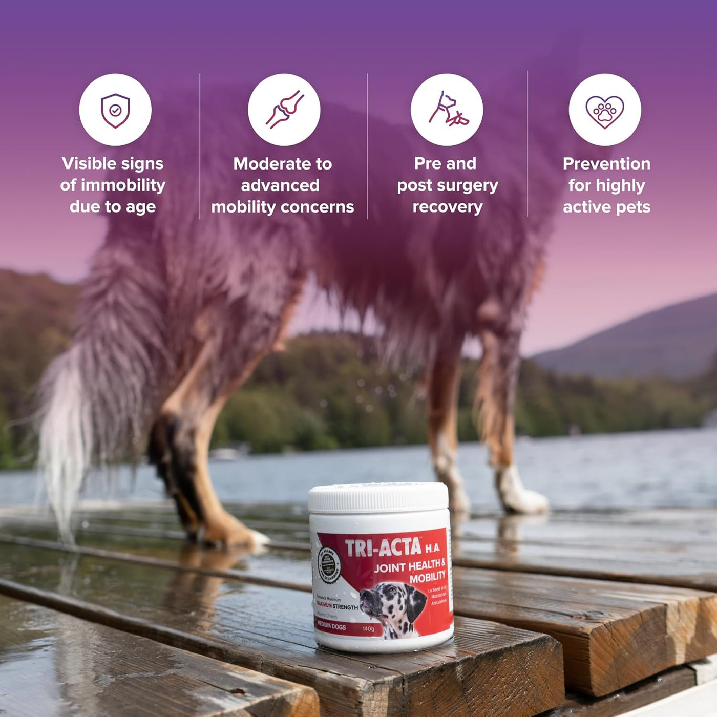 Tri-Acta Joint H.A. Maximum Strength Formula – PetMax