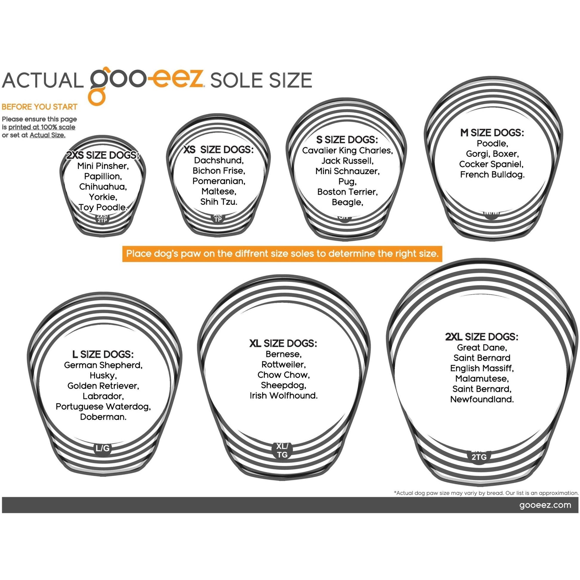 Goo-eez All Terrain All Season Dog Boots Red – PetMax